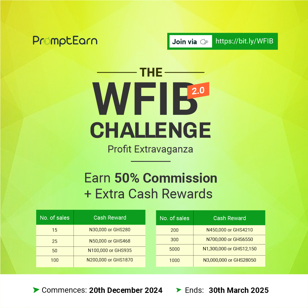 The WFIB Sales Challenge (Promptearn) – Wale Adeyemo